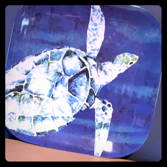 Kitchen | Turtle Kitchen Plate | Poshmark